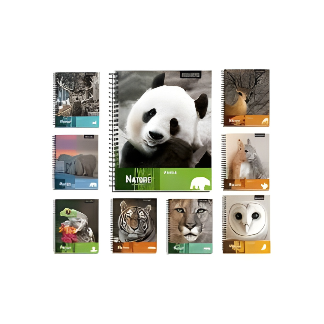 Cuadernos Universitario Nature 7 mm 100 hojas Proarte – BICHOTO.CL